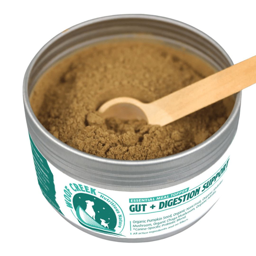 Gut Health Support | All-Natural Health Supplement for Dogs – Woof ...